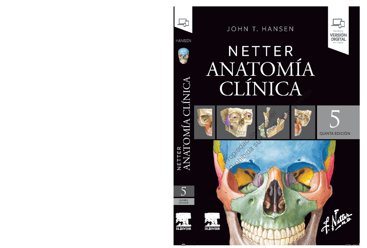 Muestra Netter Anatomia Clinica 5a ediicon 5 - Incluye HANSEN en inglés ...