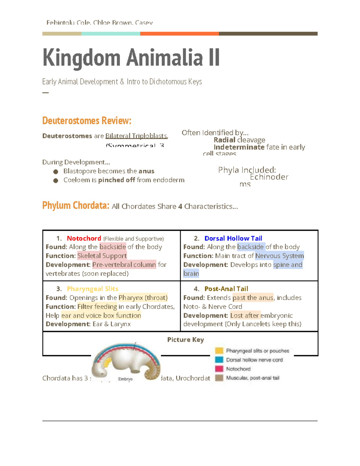 Kingdom Animalia II Lab Study Guide - Fehintolu Cole, Chloe Brown ...