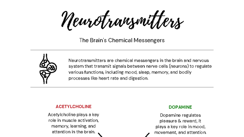 Neurotransmitters Cheat Sheet V1: Key Functions & Effects - Studocu