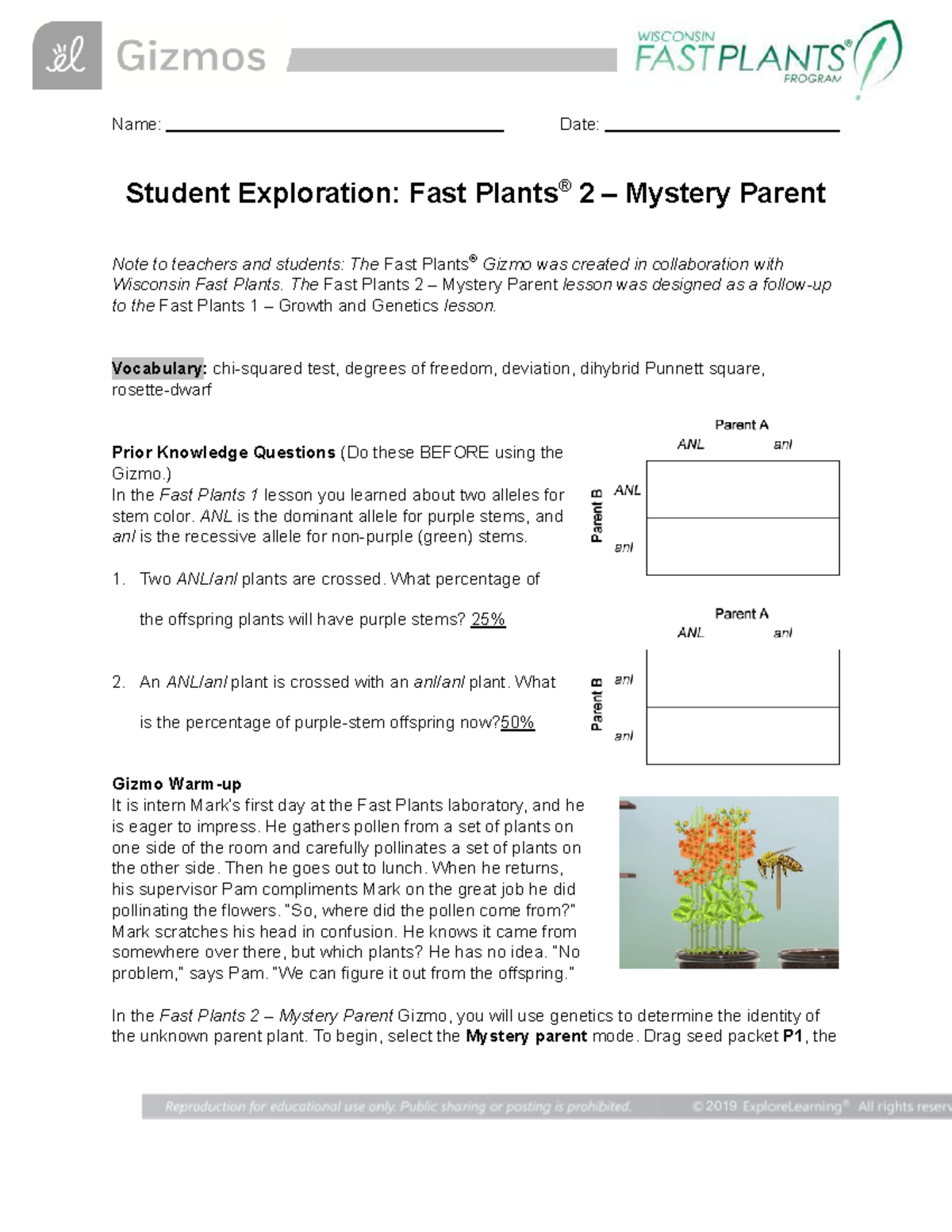 Fast Plants 2 - Mystery Parent Exploration and Analysis Guide - Studocu
