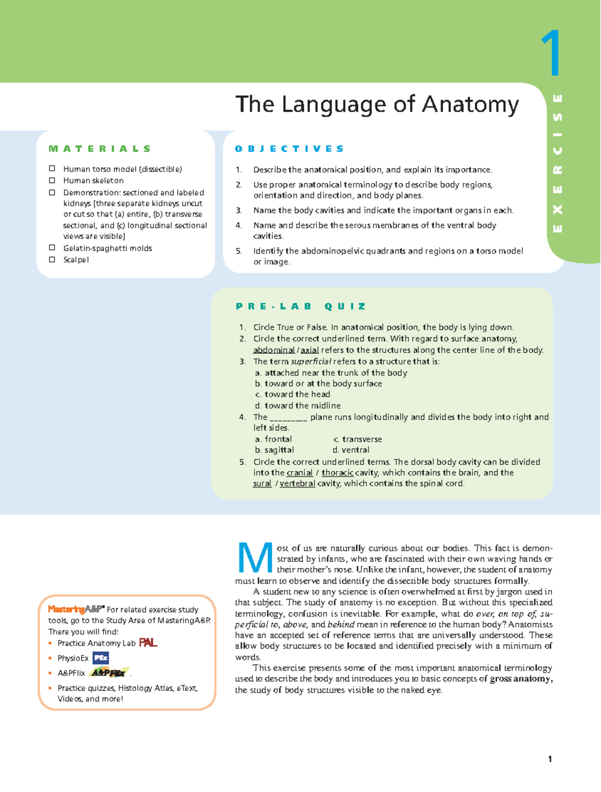 The Language of Anatomy Lab #2: Understanding Body Position and ...