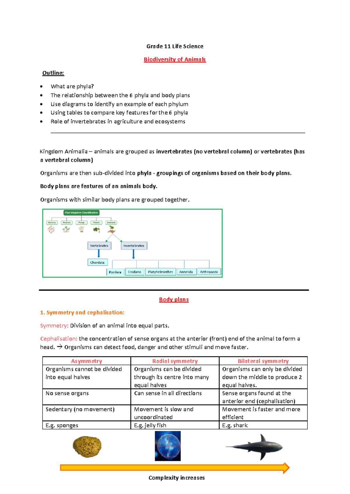 Grade 11 Life Science: Animal Biodiversity Notes and Phyla Overview ...