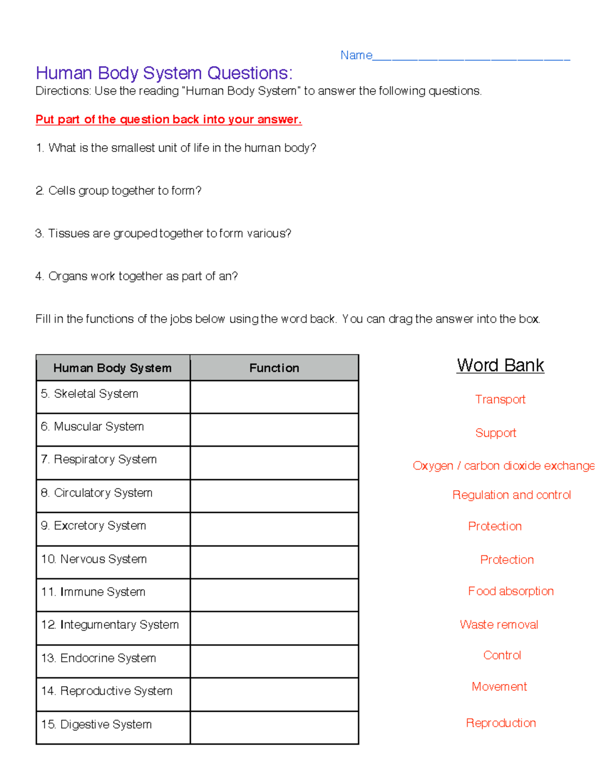 Body Systems Worksheet - Human Body System Questions: Name ...