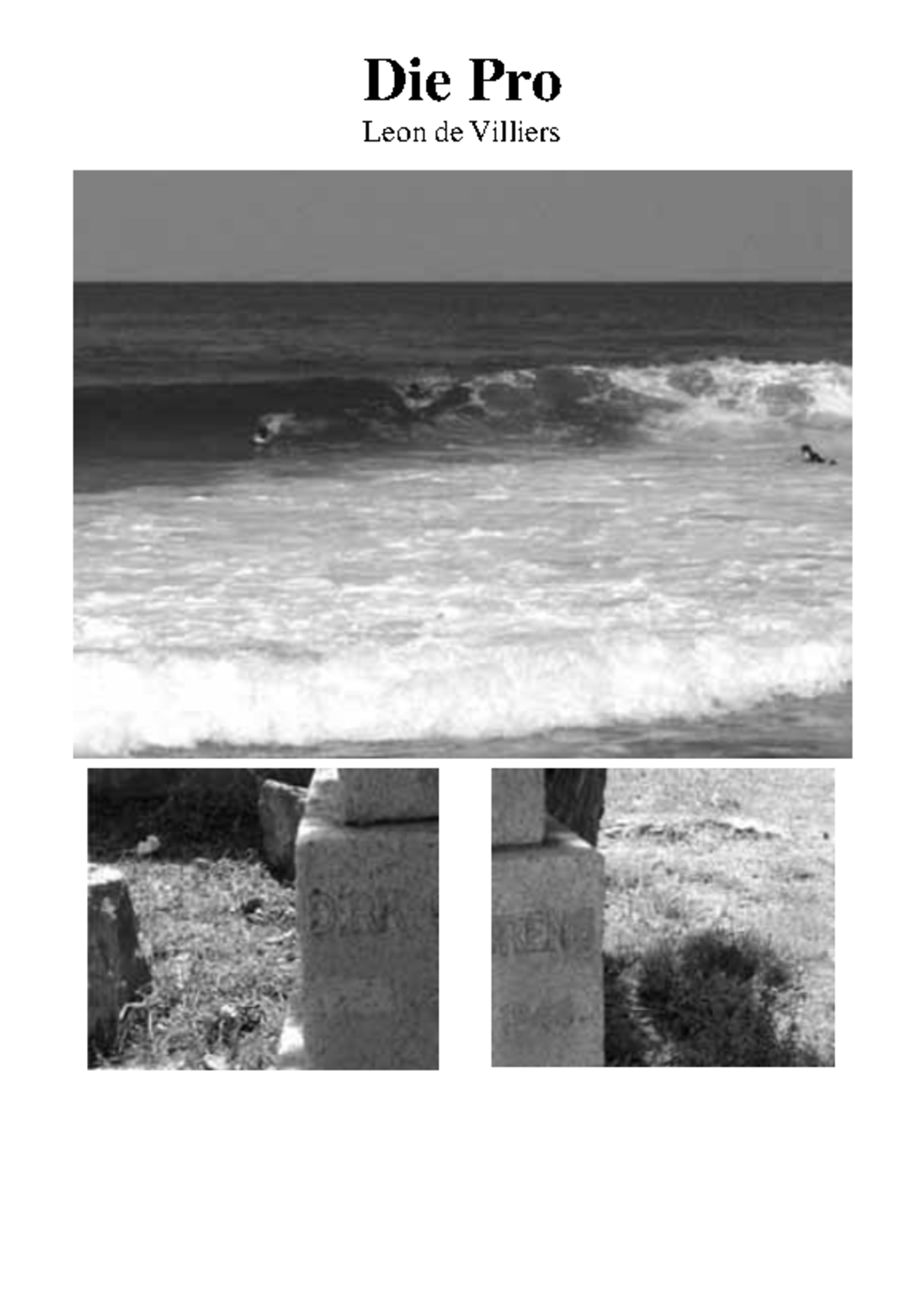 Die Pro: Opsomming en Analise van Hoofstukke vir Graad 11 - Studocu