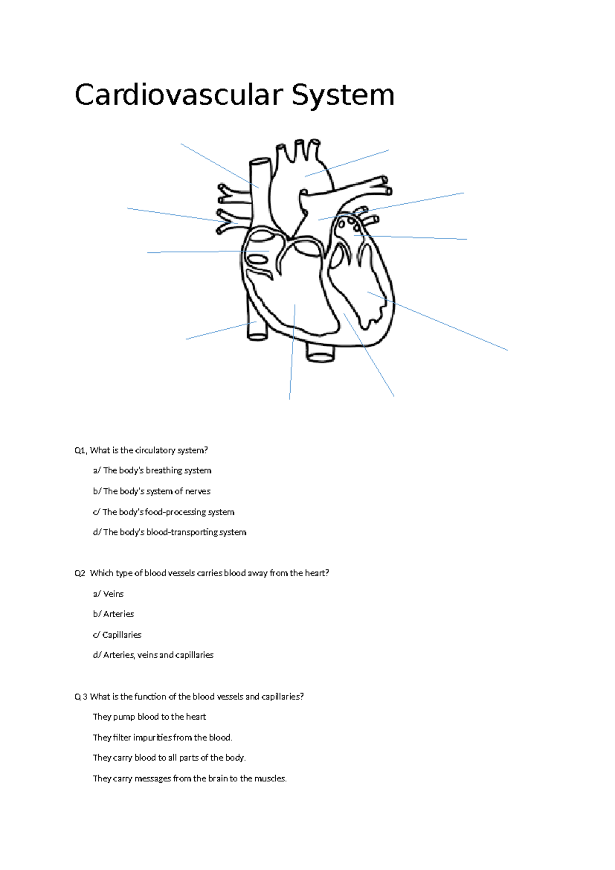 Cardiovascular System Quiz Q1-Q10: Key Concepts and Functions - Studocu