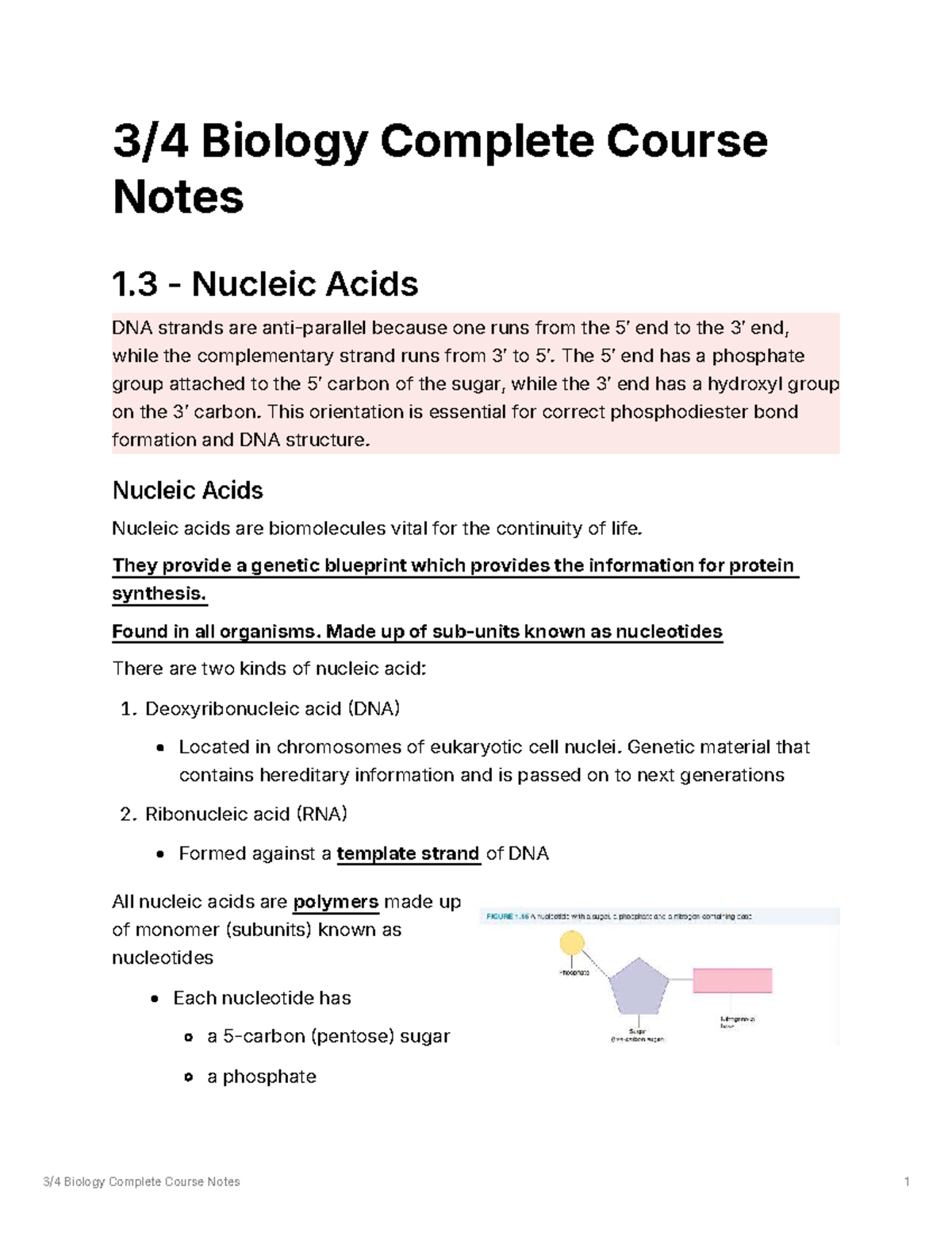 Biology Complete Course Notes: Chapter 2 - Nucleic Acids & Protein ...