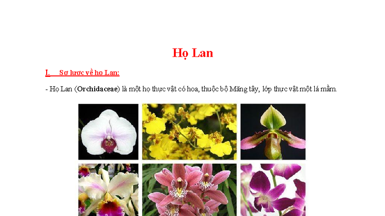 E5094 - Sơ lược về họ Lan (Orchidaceae) và Phân loại - Studocu