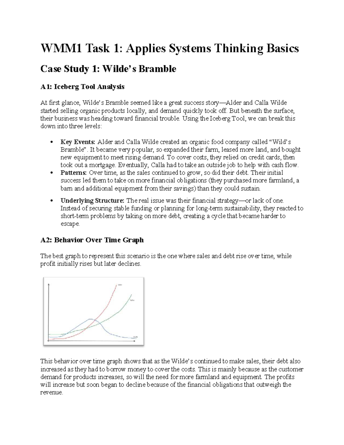 WMM1 Task 1: Systems Thinking Case Study on Bramble's Financial Issues ...