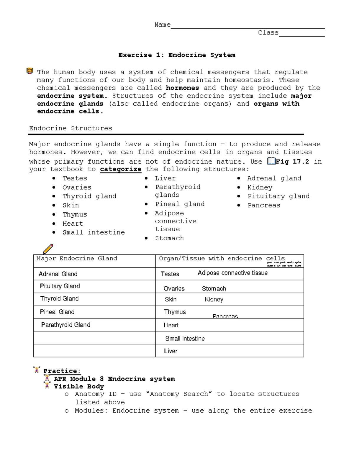 Exercise 1: Endocrine System Overview and Structure Analysis - Studocu