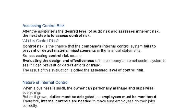 Auditing Reviewer: Assessing Control Risk and Internal Control Systems ...