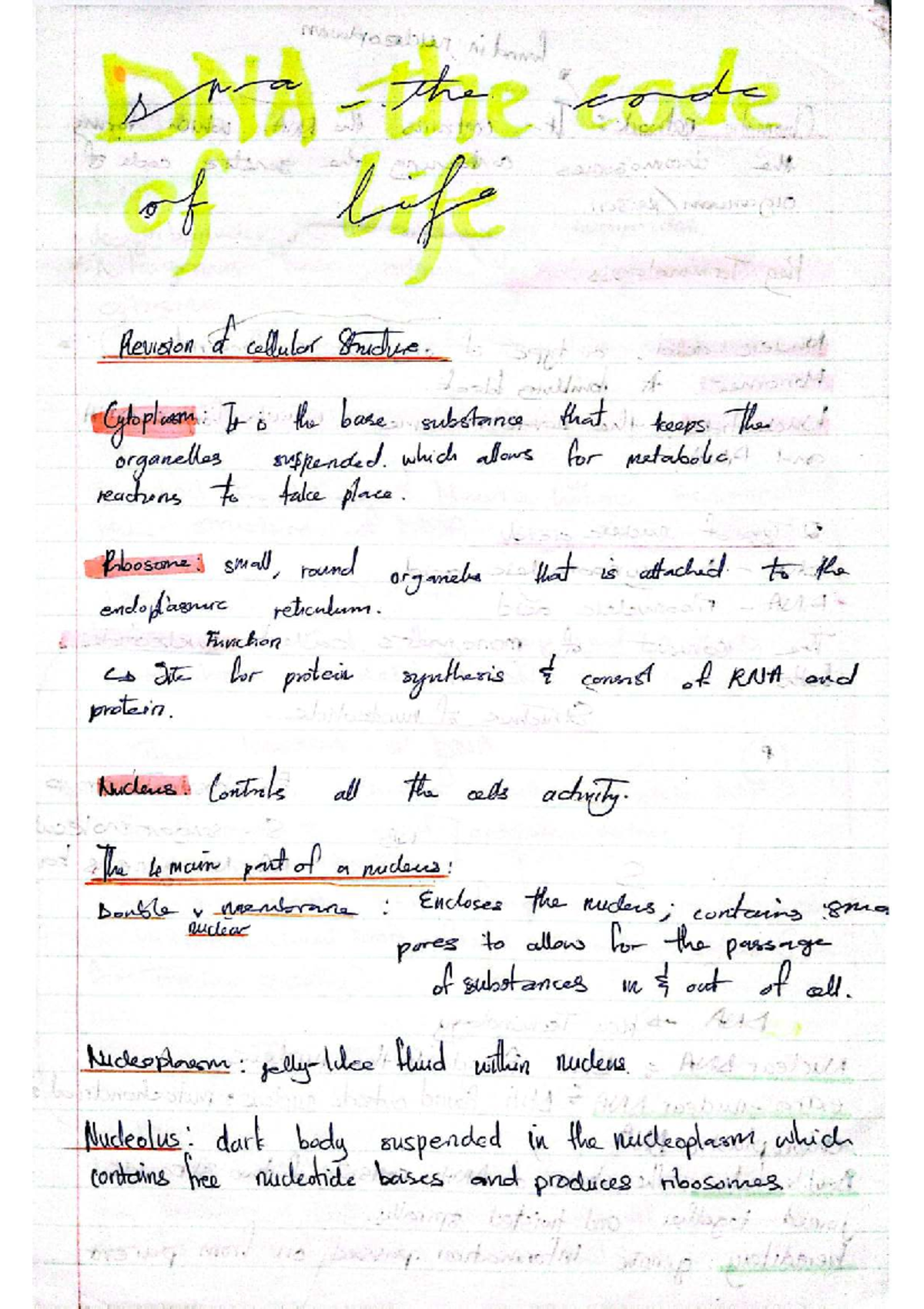 DNA- Code of Life - Exam Notes for Cellular Structure and Function ...