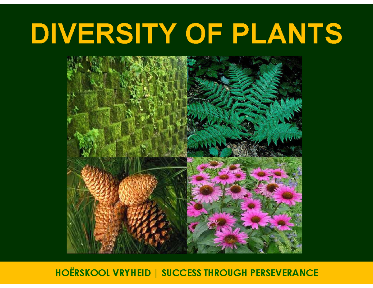 Life Sciences Grade 11 - Overview of Plant Diversity & Classification ...