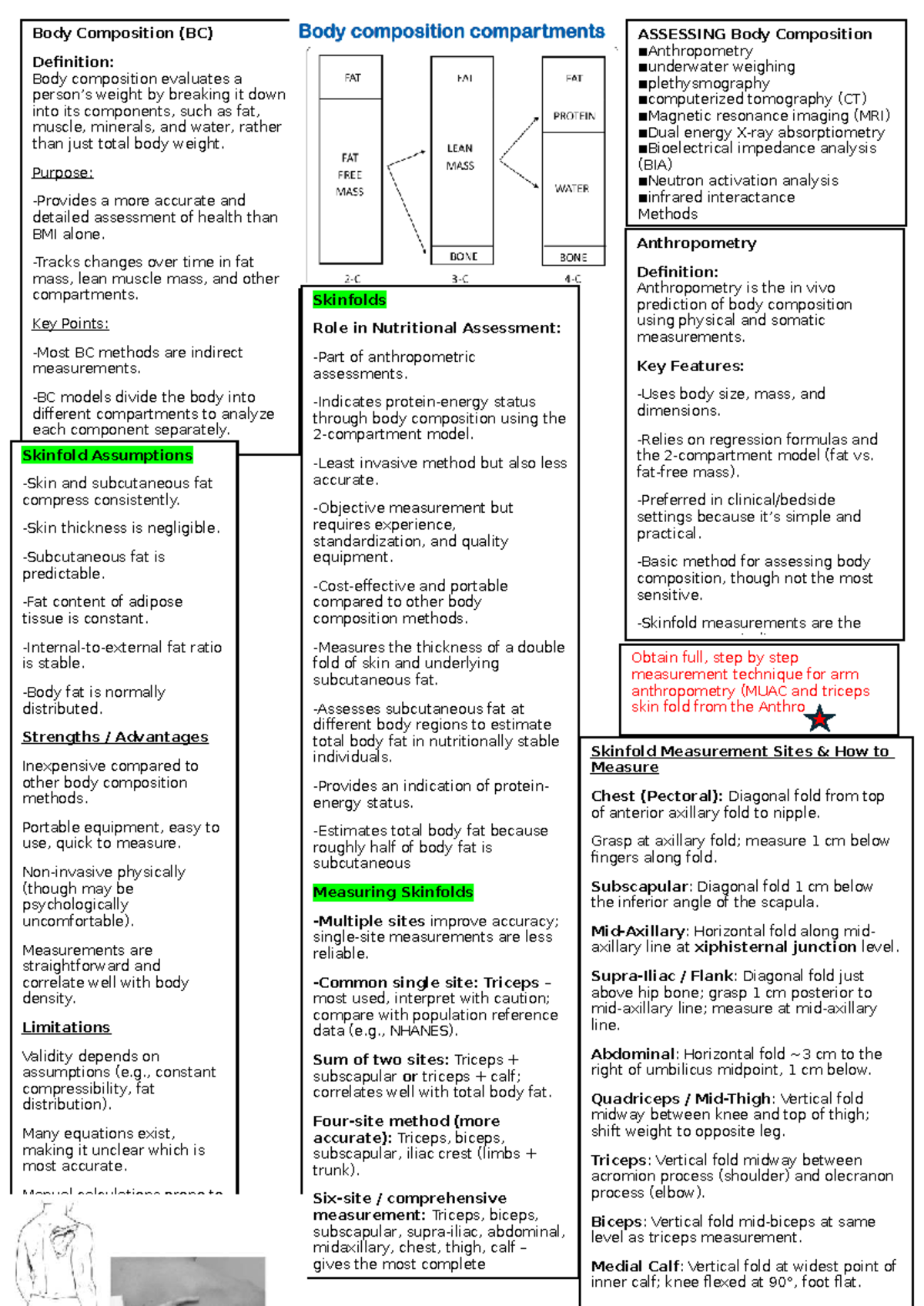 Body Composition Assessment Methods: A Comprehensive Overview (BC ...