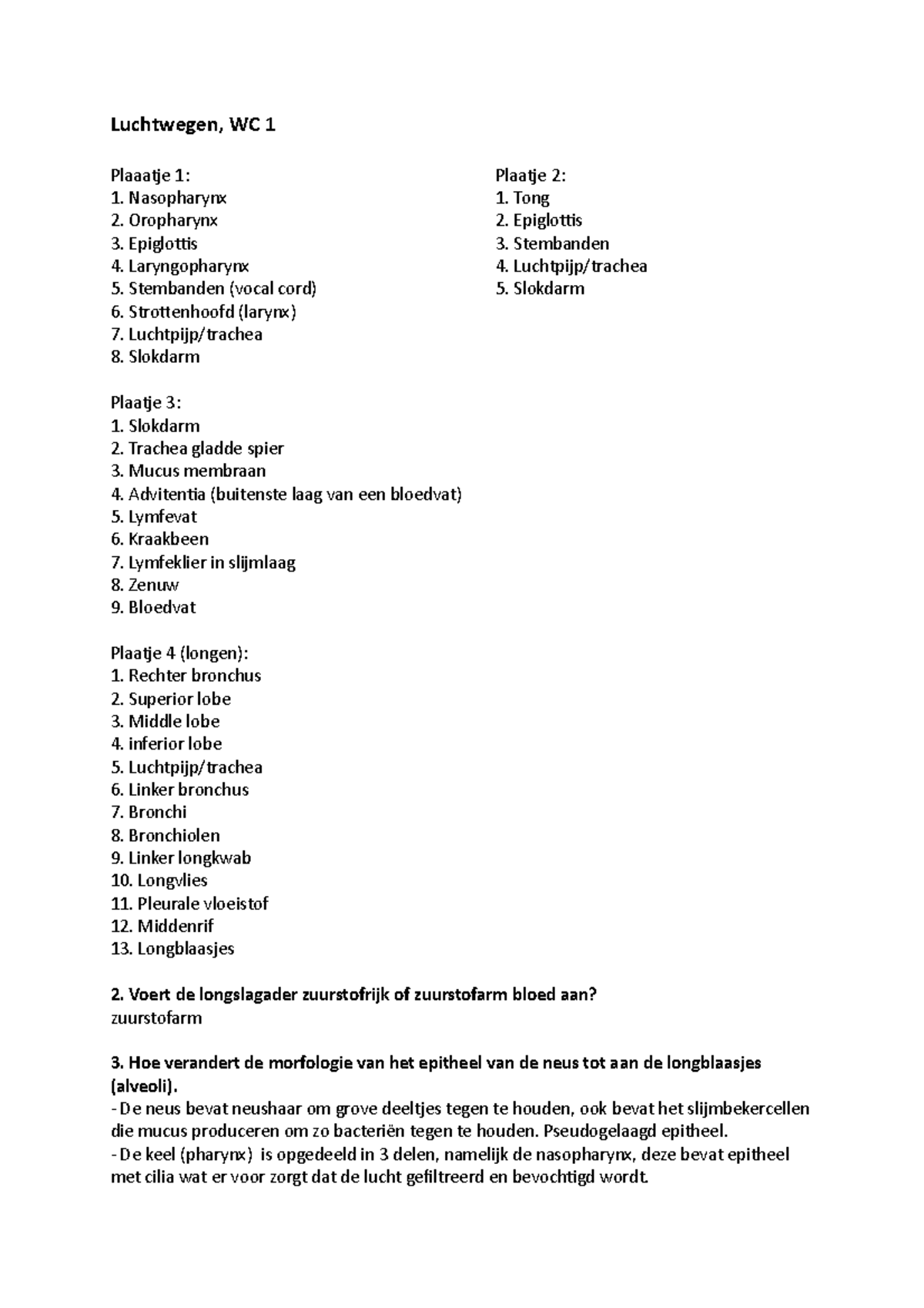 Luchtwegen Anatomie en Functies - WC 1 Studiedocument - Studeersnel