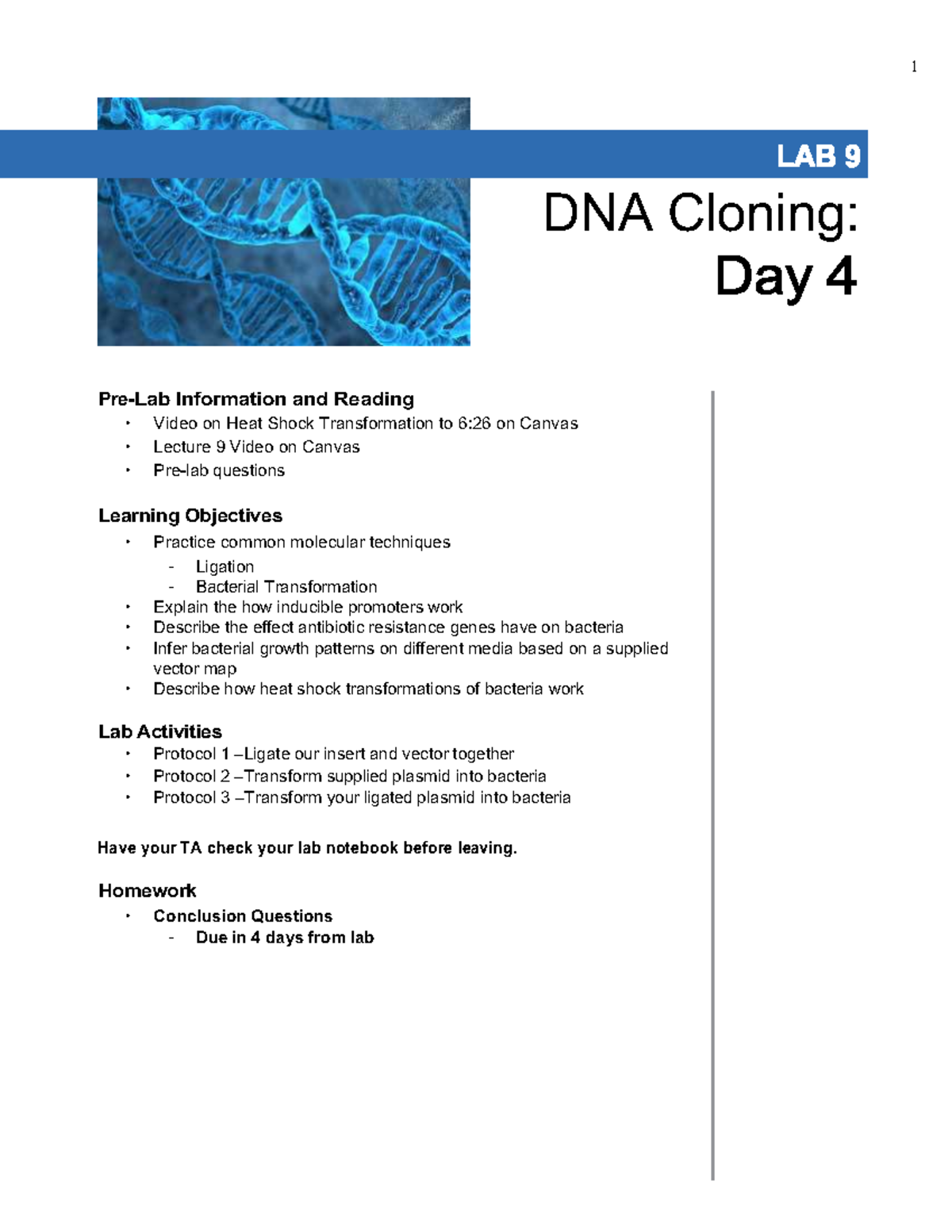 Lab 10: DNA Cloning Pre-Lab and Protocols - Studocu