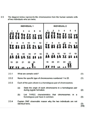 Agric Revision Notes for G12: Basic Agricultural Genetics Guide - Studocu