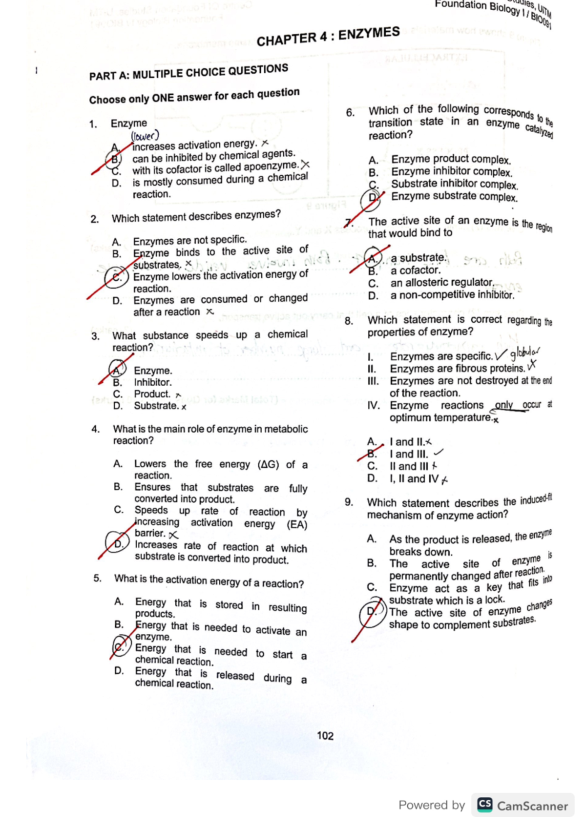 Foundation Biology BIO091 Chapter 4: Enzymes Multiple Choice Questions ...