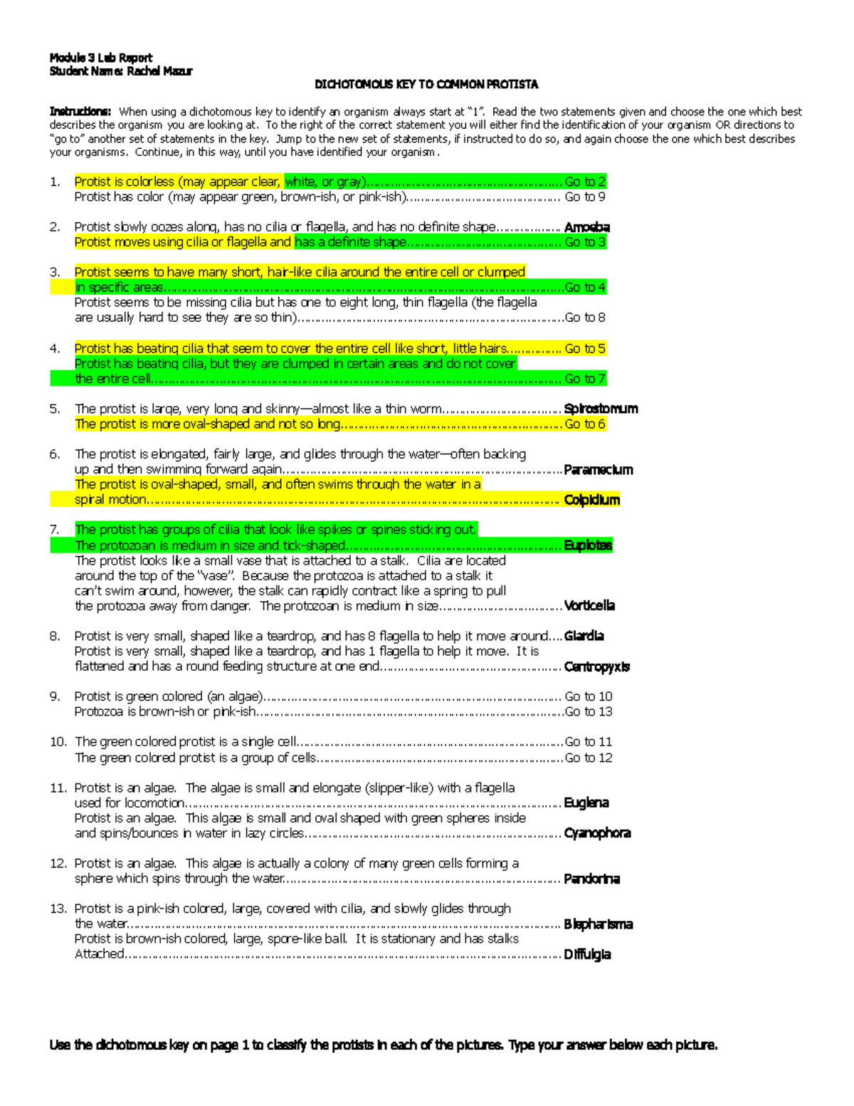 Module 4 Lab Report: Dichotomous Key for Common Protista - Studocu