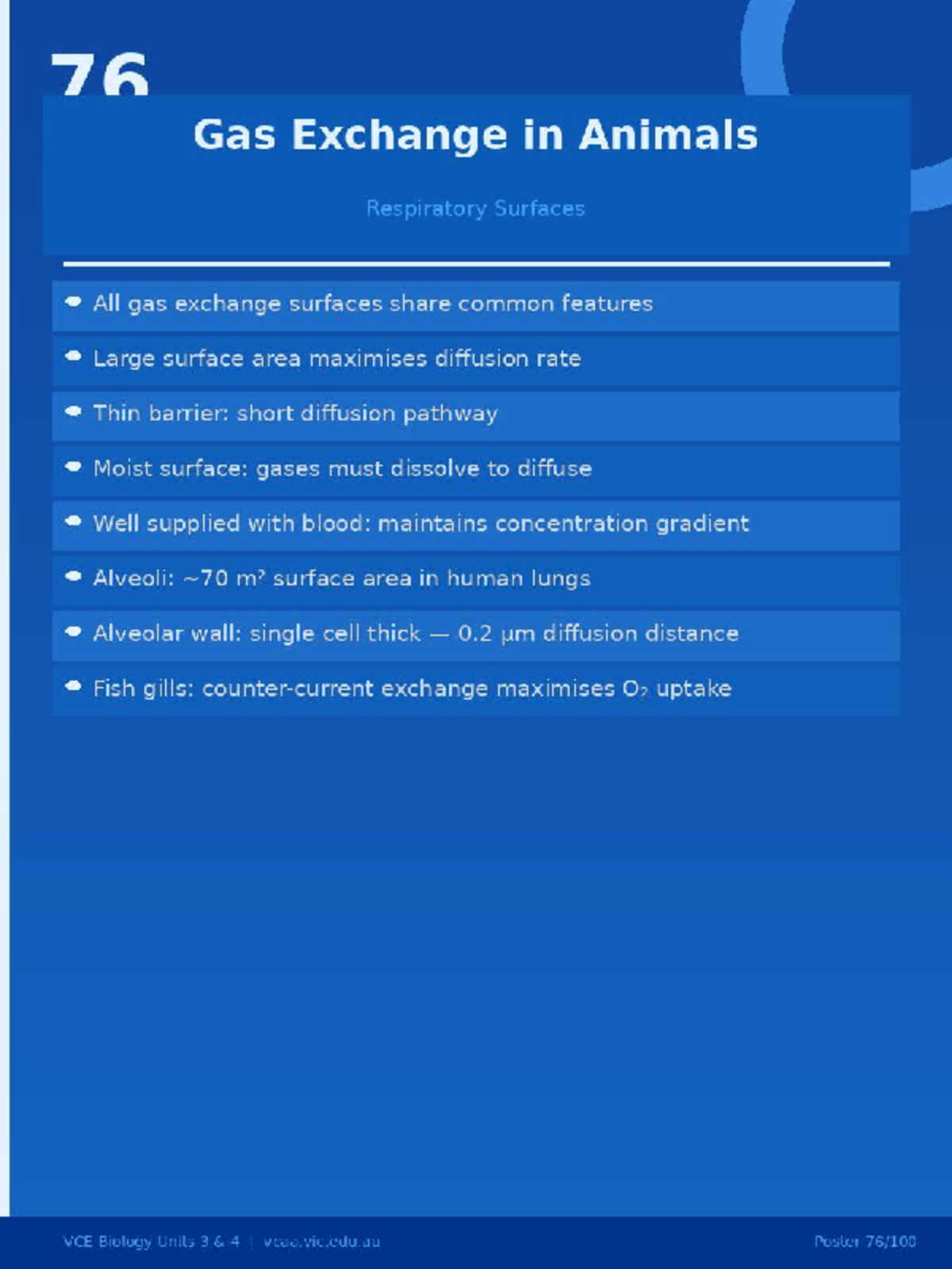 76 gas exchange - biology unit 3/4 summary for the topic - 76 Gas ...
