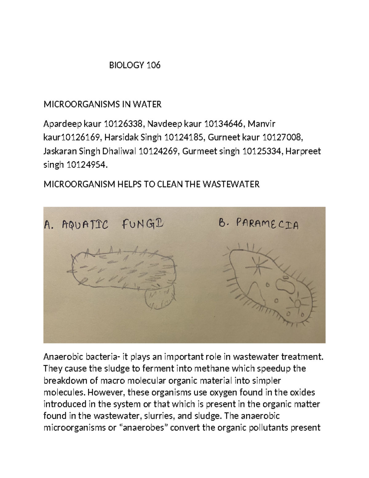 Biology 106: Role of Microorganisms in Wastewater Treatment - Studocu