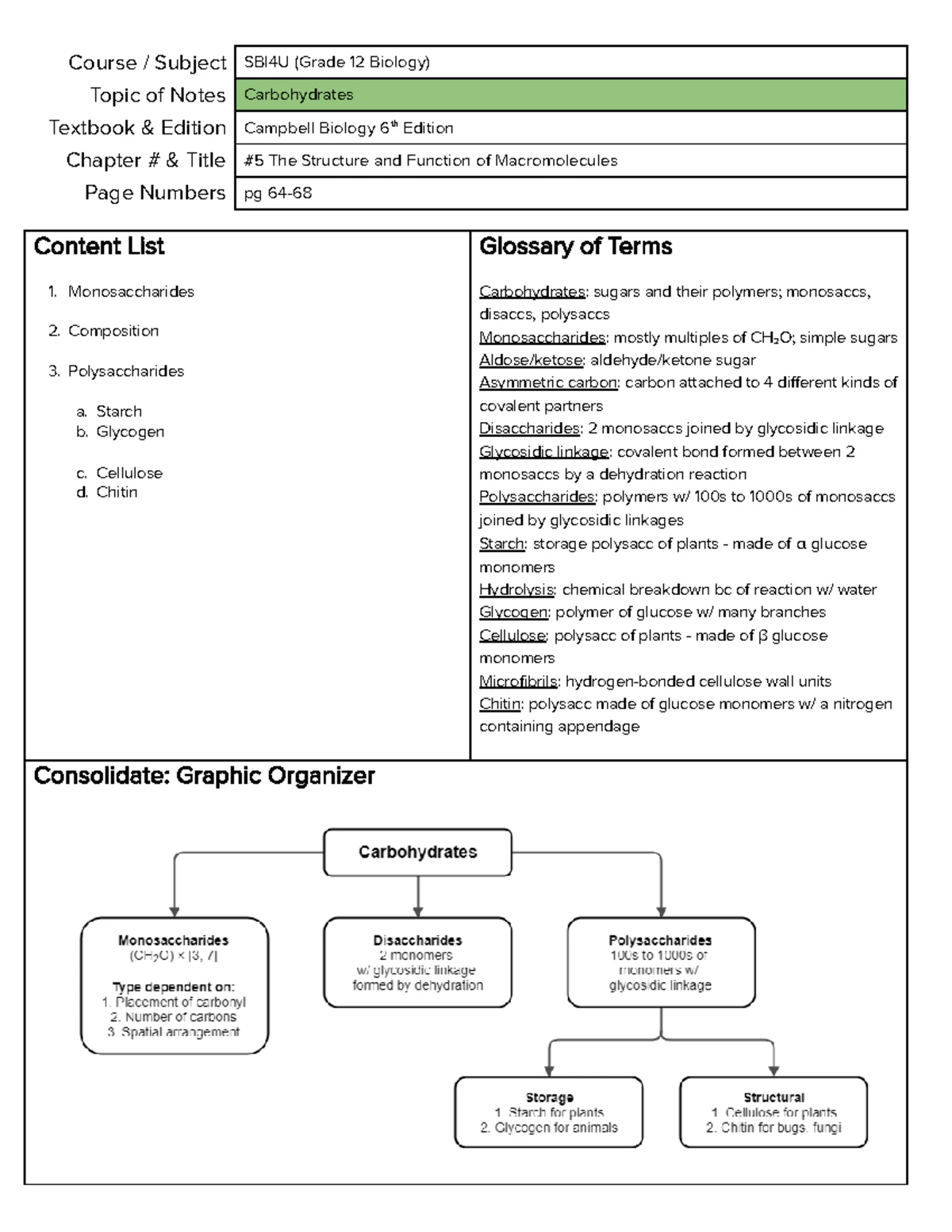 Stage 2: Pyruvate Oxidation & Krebs Cycle - Bio Prep Notes - Studocu