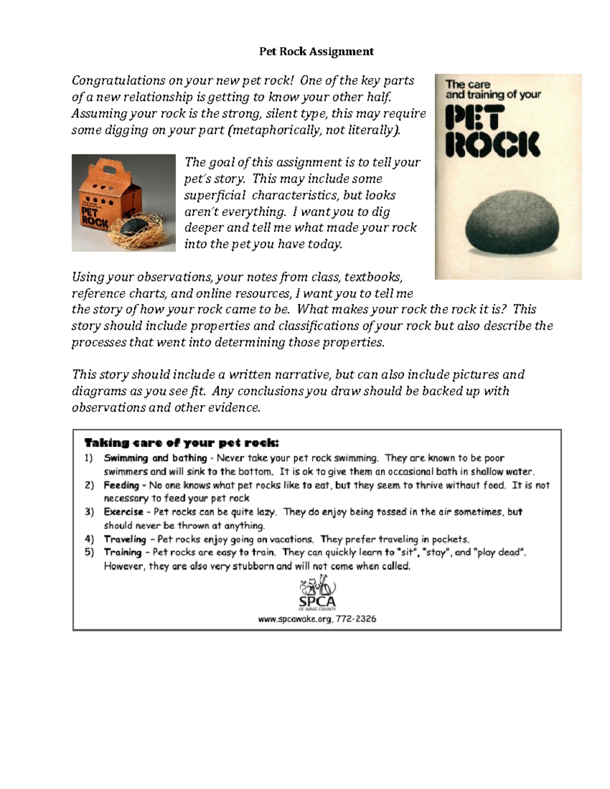 Pet Rock Description and Rubric - Pet Rock Assignment Congratulations ...