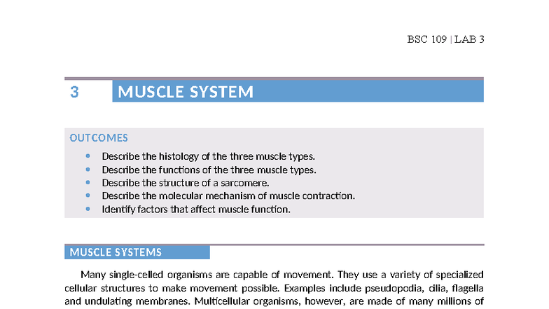 BSC 109 LAB 3: Muscle System Histology and Function Analysis - Studocu