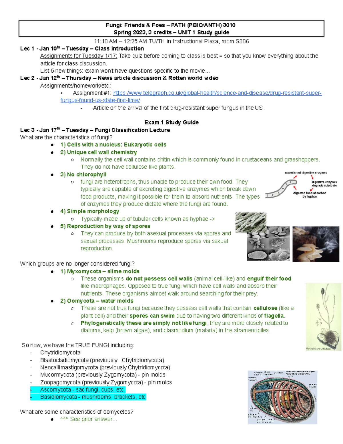 PATH 3010 Exam 1 Study Guide: Fungi Characteristics & Classifications ...