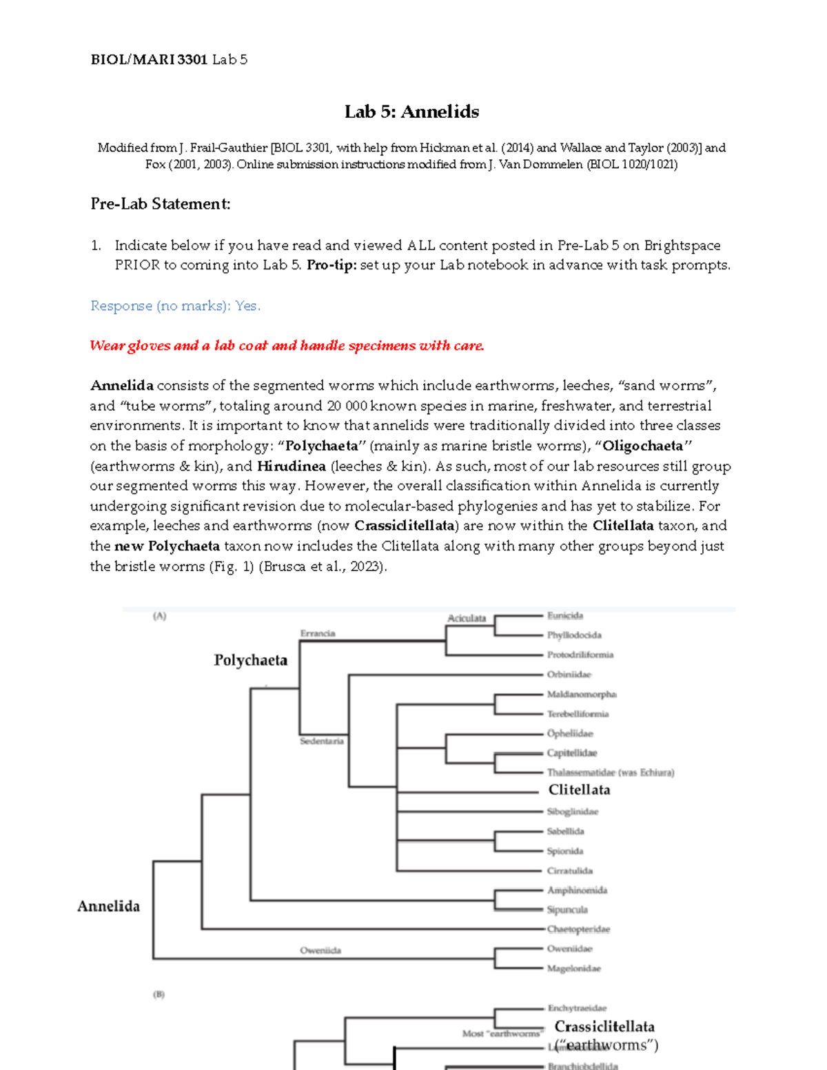 3301 Lab 5: Exploring Annelids - Earthworm & Nereis Specimen Analysis ...