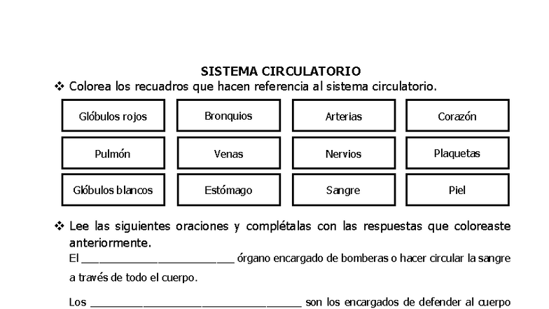 SISTEMA CIRCULATORIO: Actividades y Respuestas - Tarea 5 - Studocu