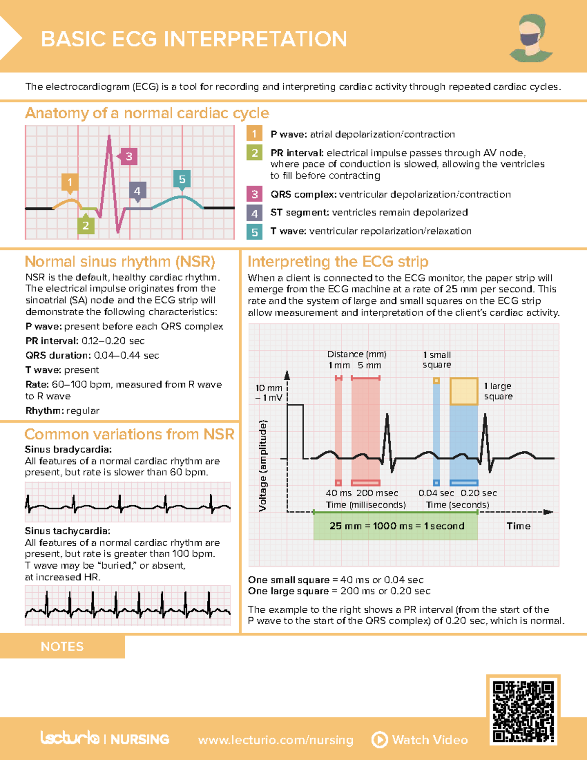 Nursing 101: Basic ECG Interpretation Review Sheet - Studocu