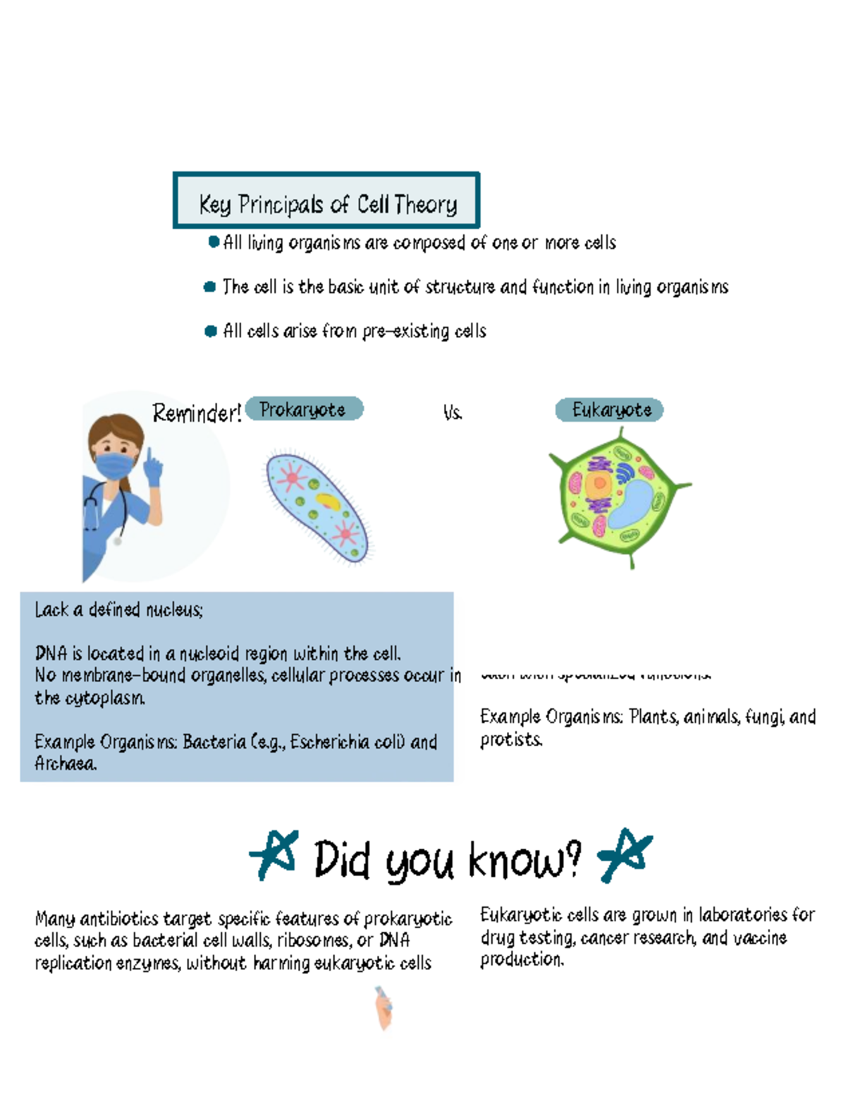 Chapter 4: Cell Structure and Key Principles of Cell Theory - Studocu