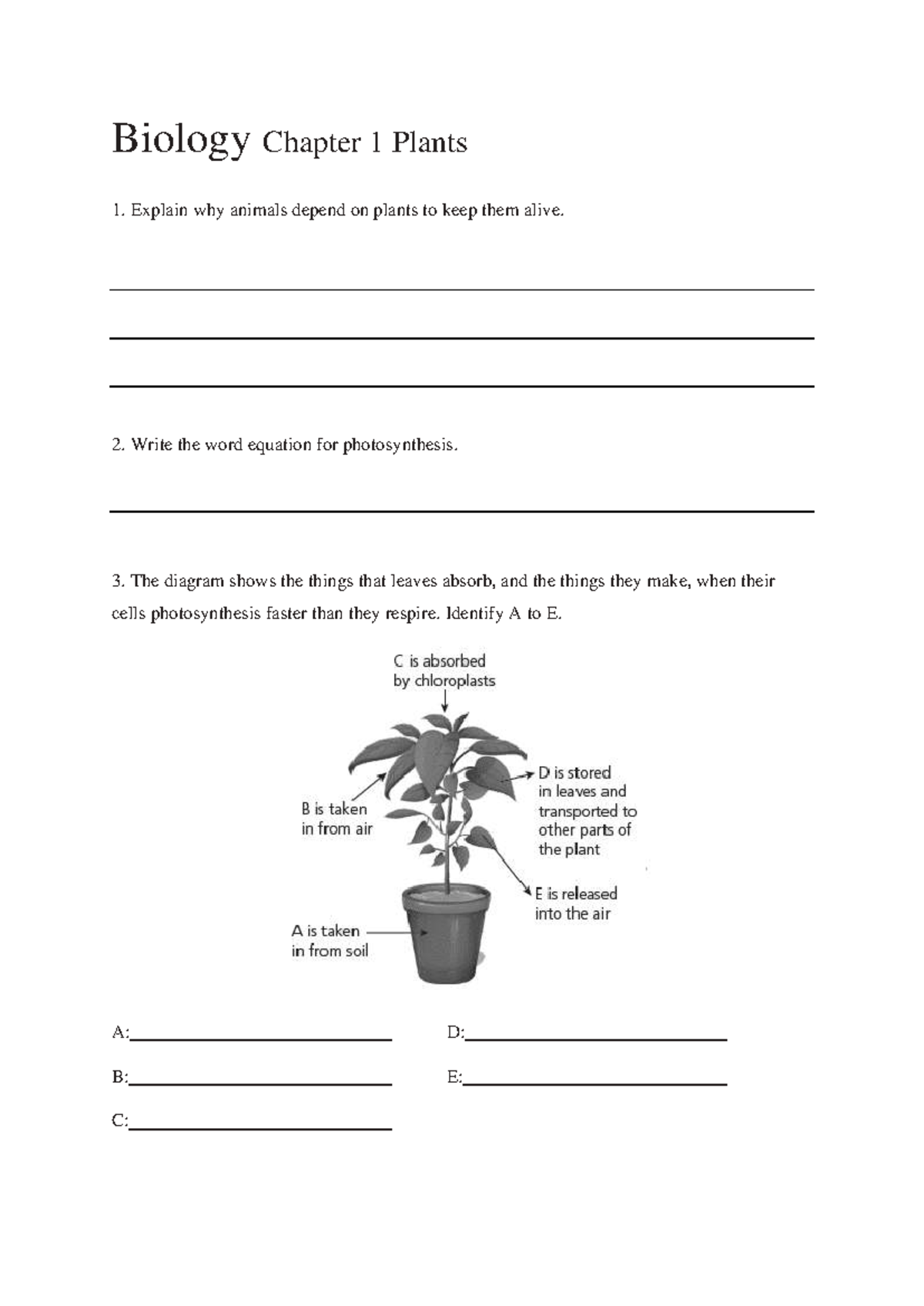 Biology Y9 Chapter 1: Importance of Plants for Animals and Growth ...