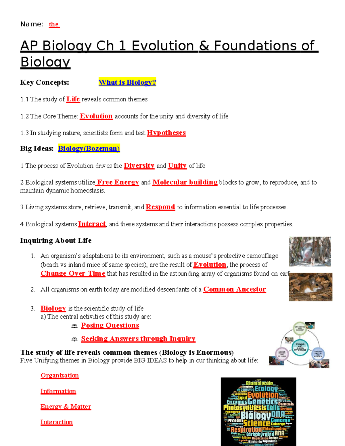 Ch 1- Foundations - KEY - chapter 1 key - Name: the ####### KEY AP ...