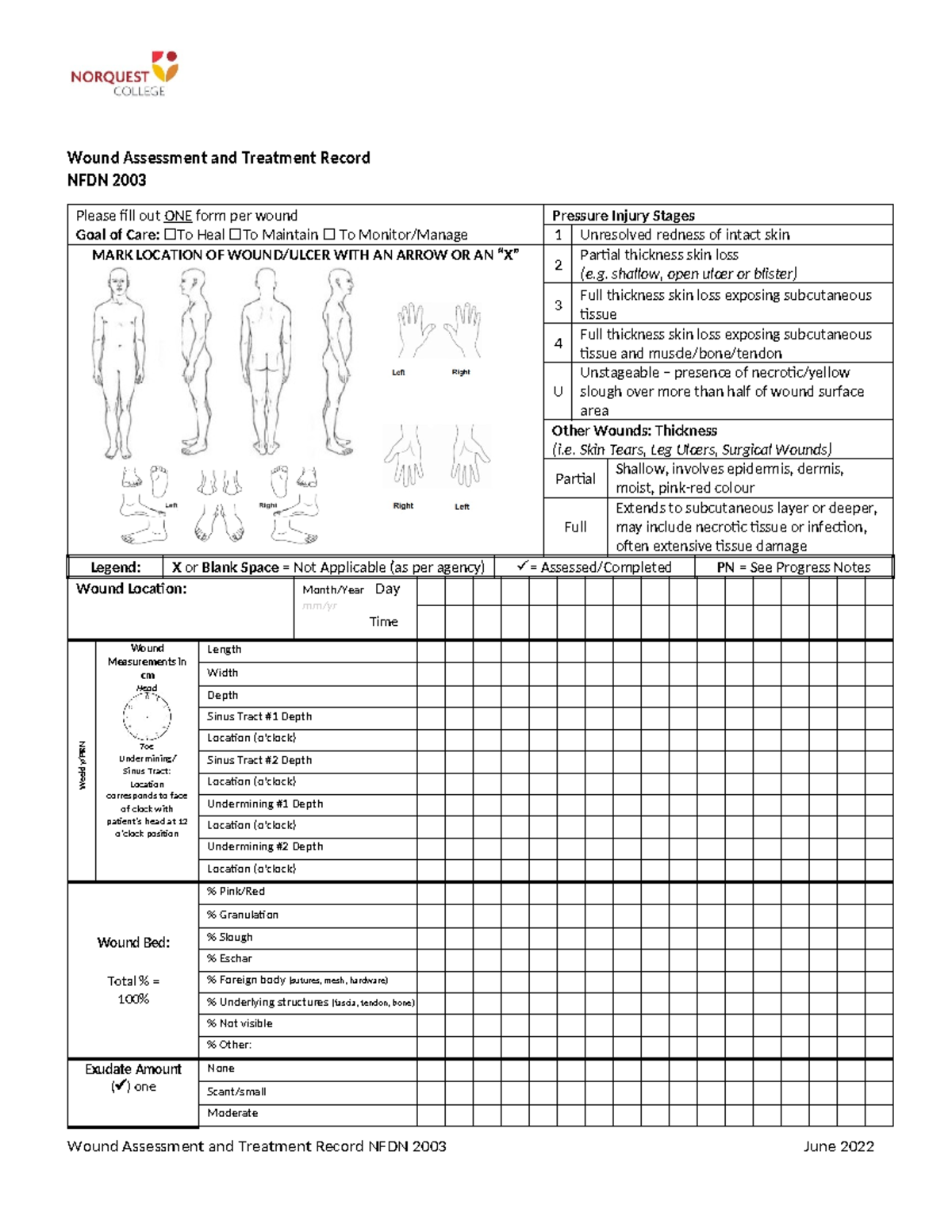 Wound Assessment and Treatment Record - shallow, open ulcer or blister ...