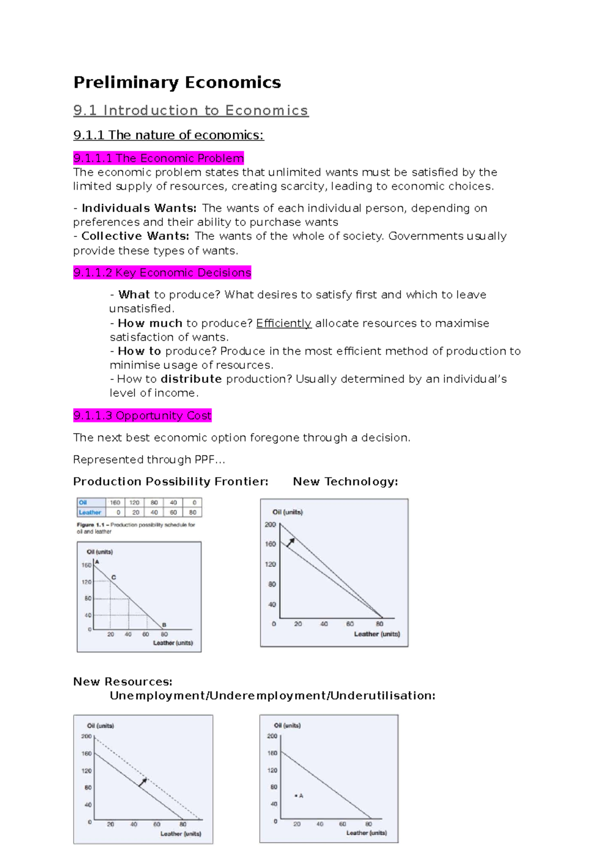 Preliminary Economics 9.1 Full Notes on Economic Principles and ...