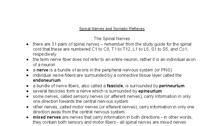 Spinal Nerves and Somatic Reflexes - Comprehensive Overview (BIO 101) - Studocu