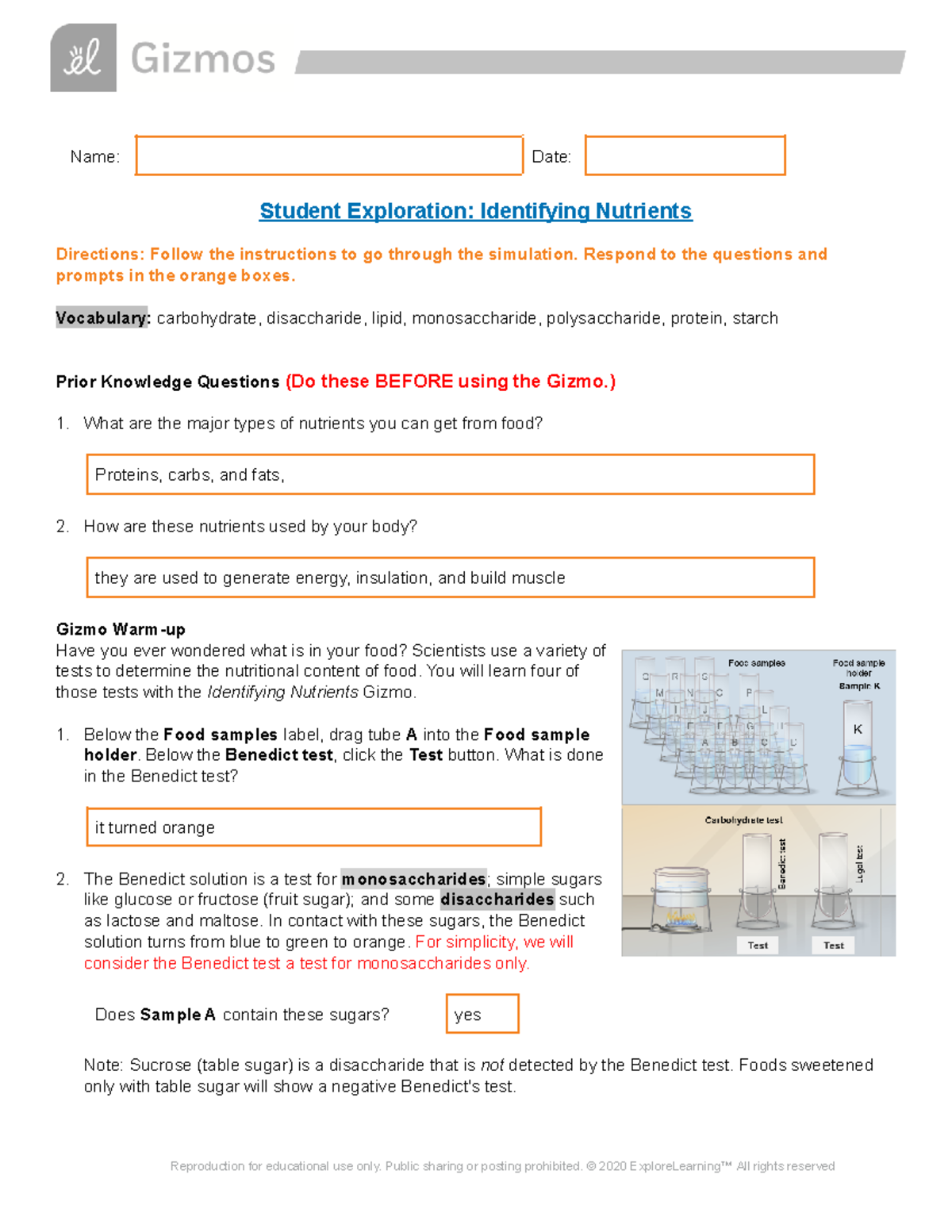 Identifying Nutrients: Student Exploration Lab SE-2 Workbook - Studocu