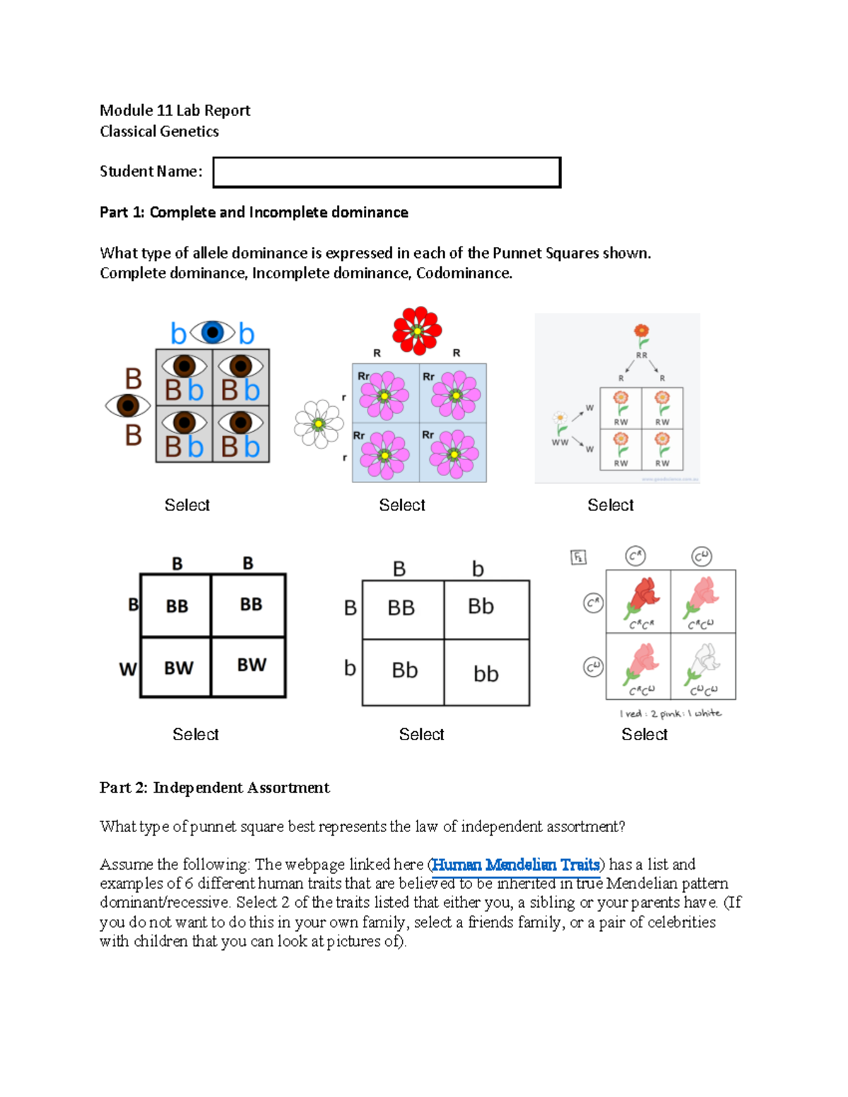 Module 11 Lab Report: Classical Genetics & Allele Dominance Analysis ...