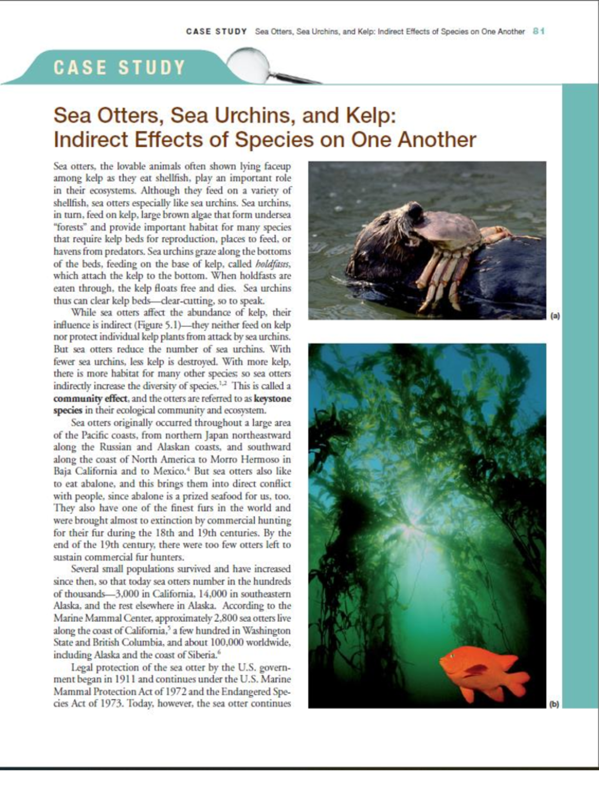 Case Study: Sea Otters' Impact on Food Chains and Ecosystems - Studocu
