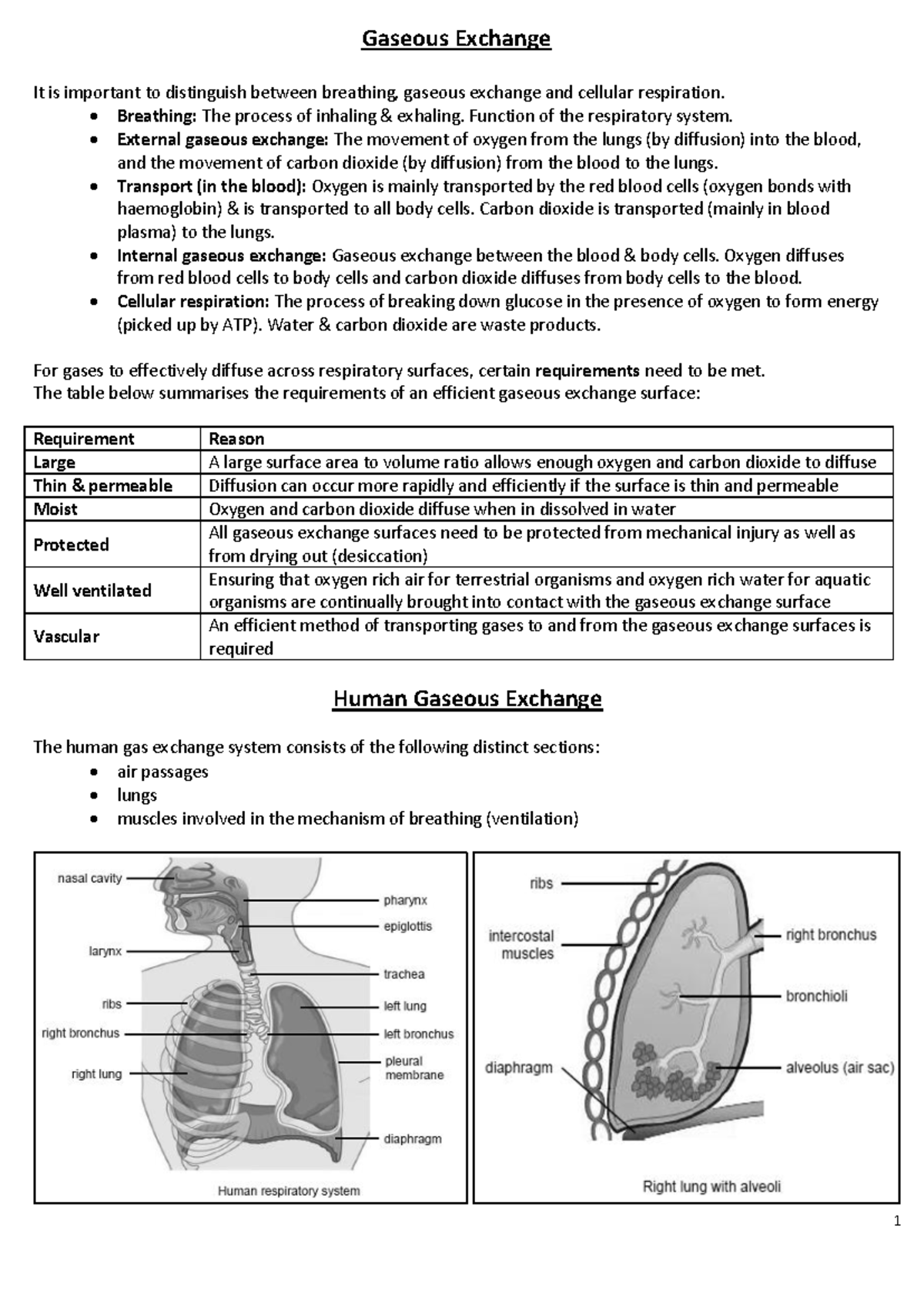 8. Gaseous Exchange - Lecture Notes on Respiration and Diffusion - Studocu