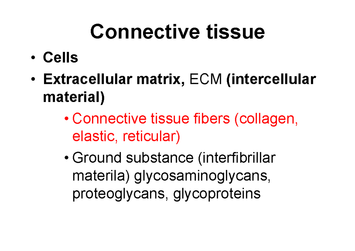 CT ECM 2023: Connective Tissue Cells and Extracellular Matrix Insights ...
