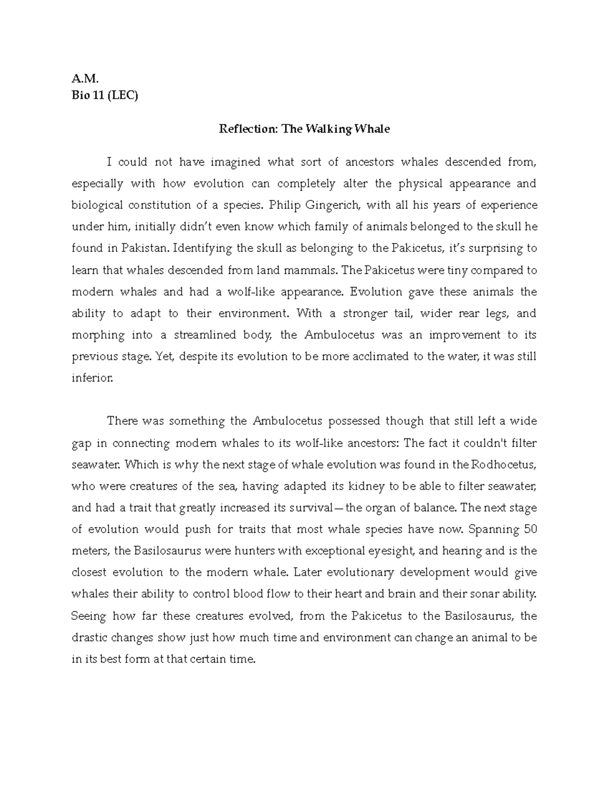 Bio 11 (LEC) Reflection: Evolution of Whales from Pakicetus to ...