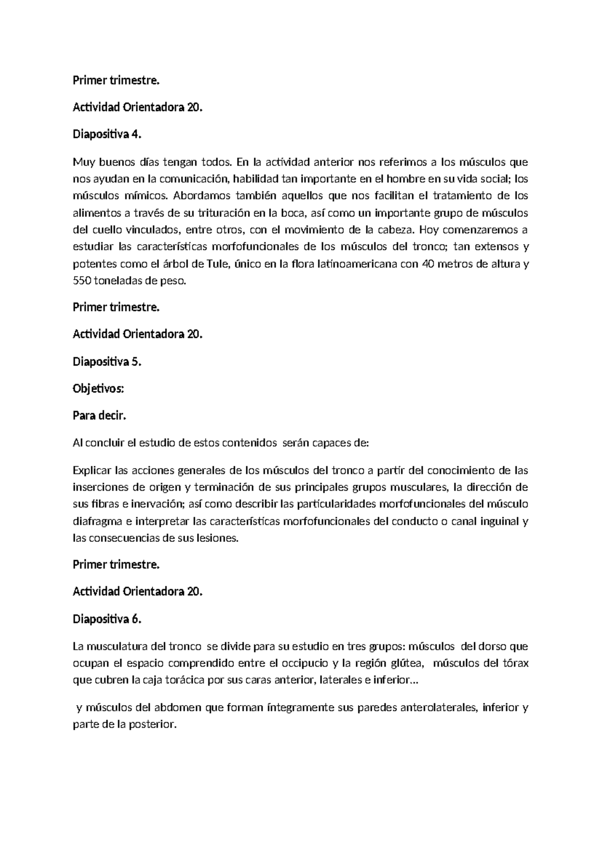 Musculos DO Tronco ( Odyll) - Primer trimestre. Actividad Orientadora ...