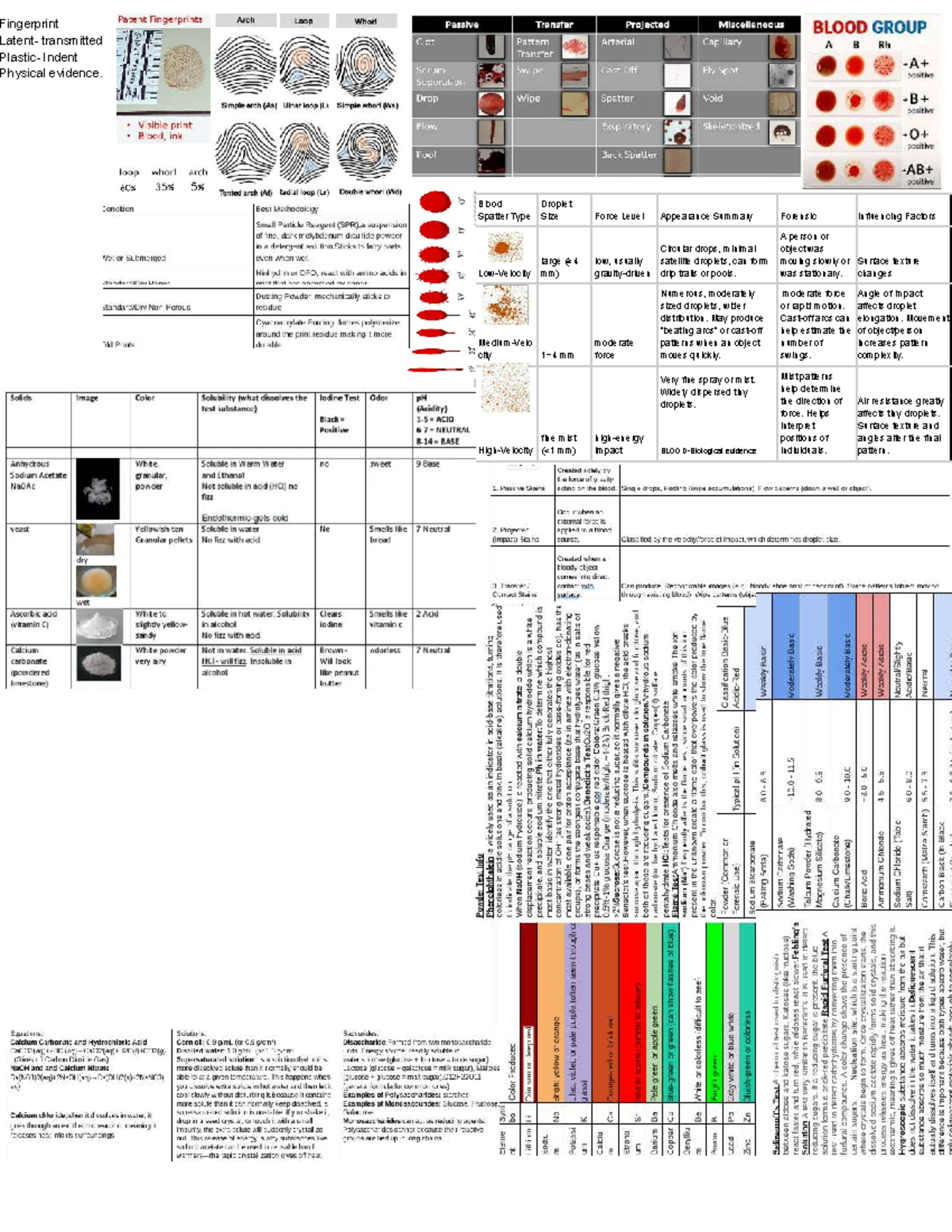 Forensics Study Guide: Fingerprint & Blood Spatter Analysis - Studocu