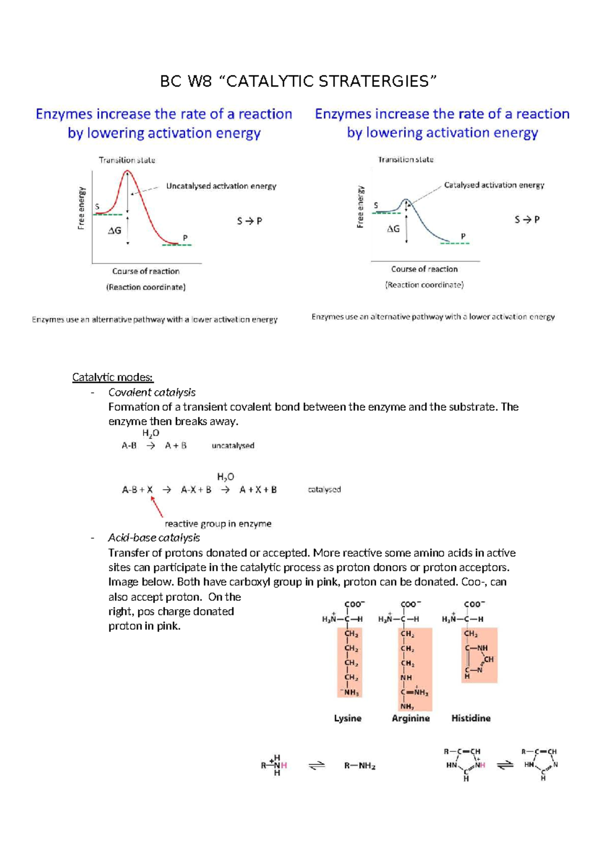 BC W8 - Catalytic Mechanisms in Enzyme Function and Digestion - Studocu