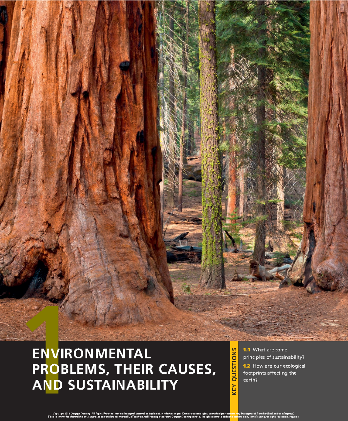 Chapter 1 - Environmental Problems: Causes and Sustainability Concepts ...