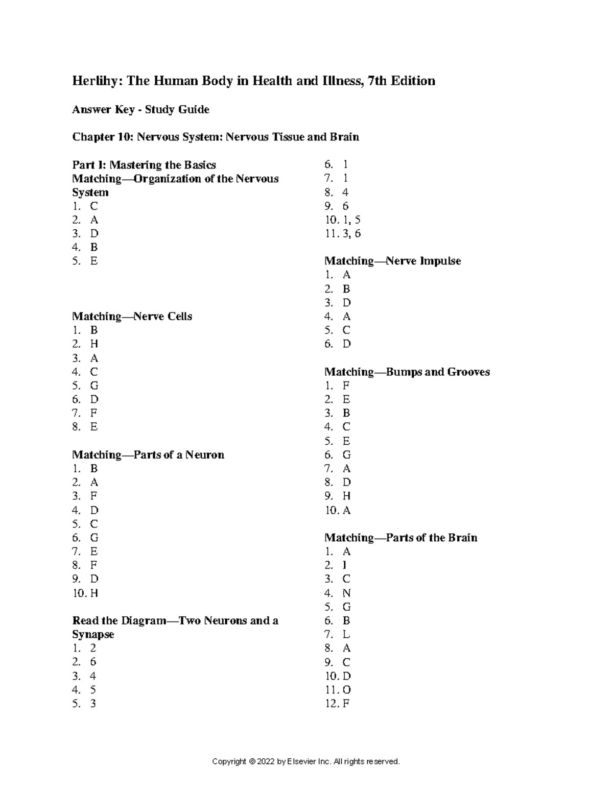 A&P Ch.10 Nervous System Study Guide with Answer Key Insights - Studocu