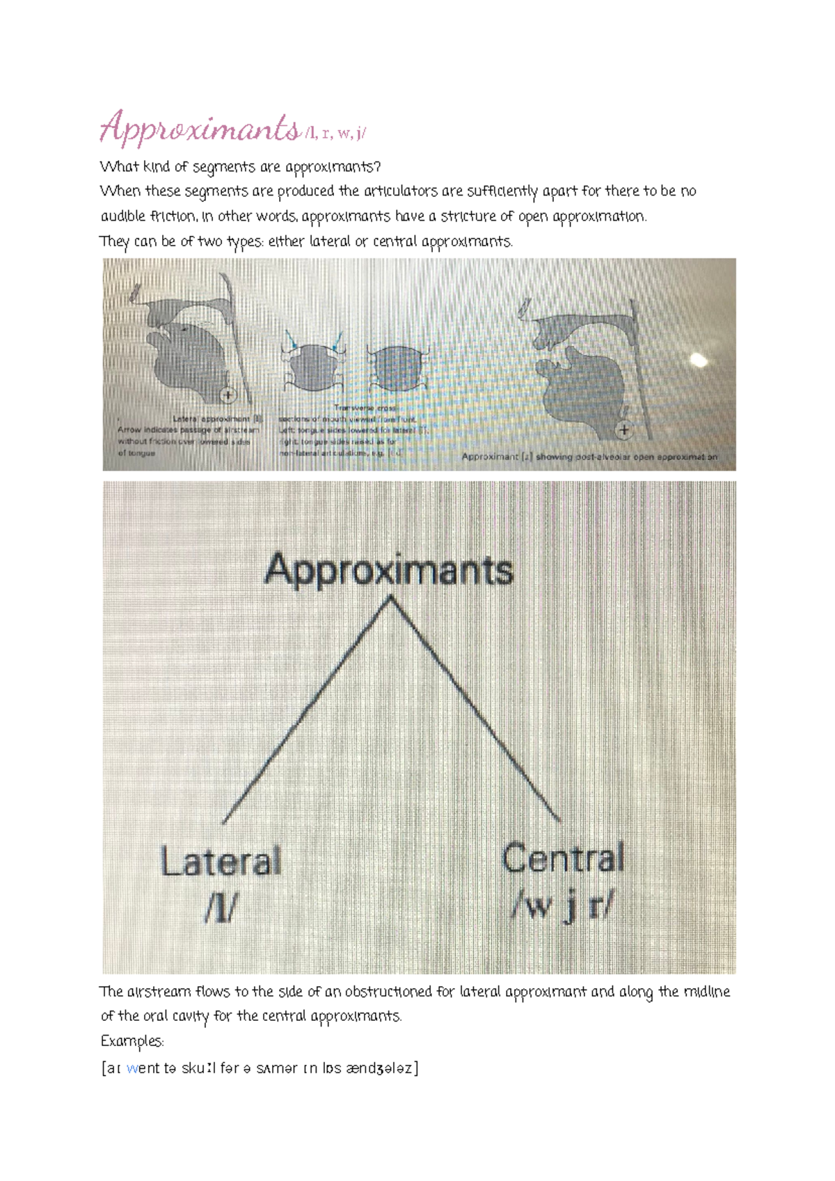 Approximants in Phonetics: Types, Articulation, and Variants - Studocu