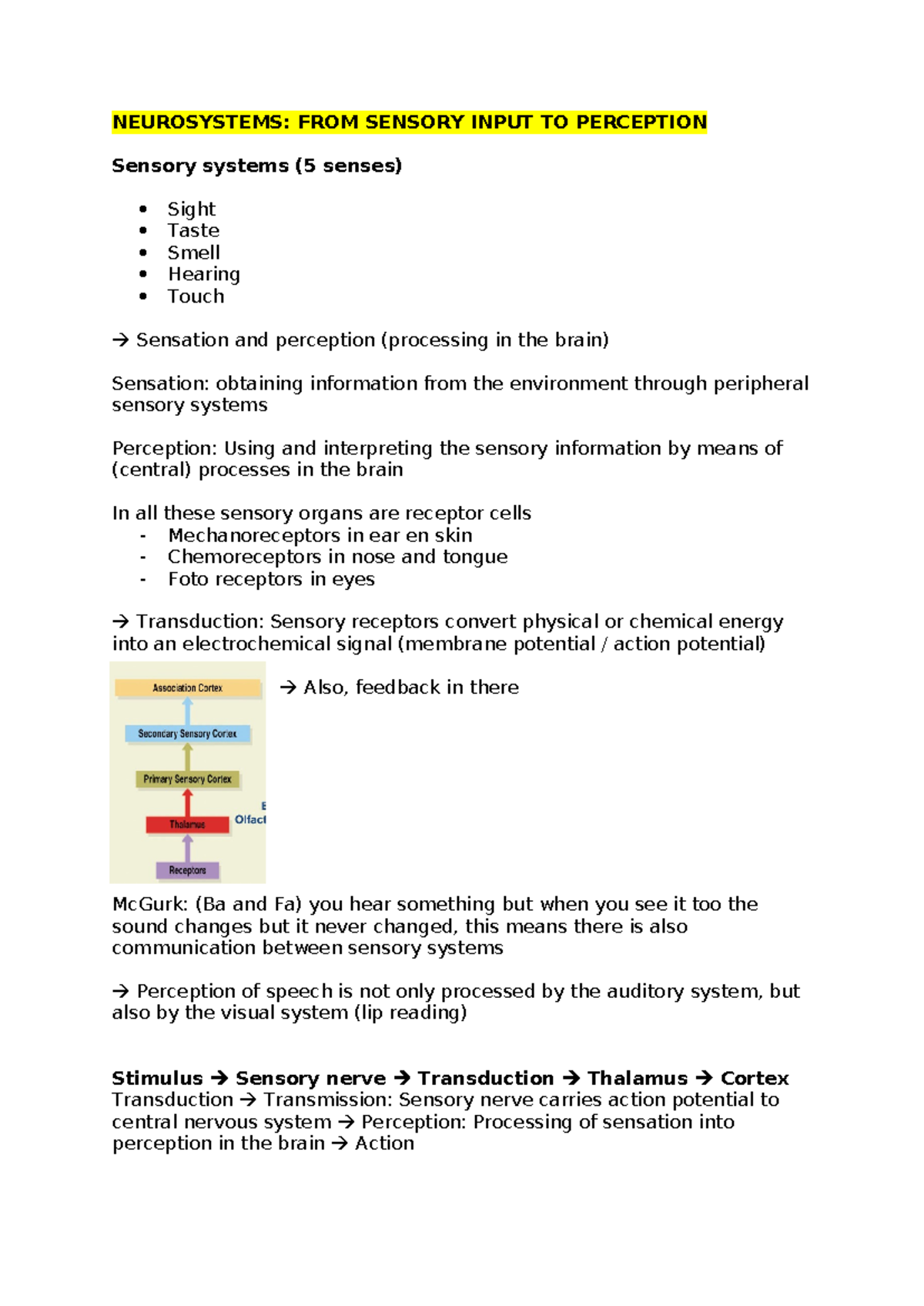 NEUROSYSTEMS: SENSORY INPUT AND PERCEPTION EXPLAINED - Studeersnel